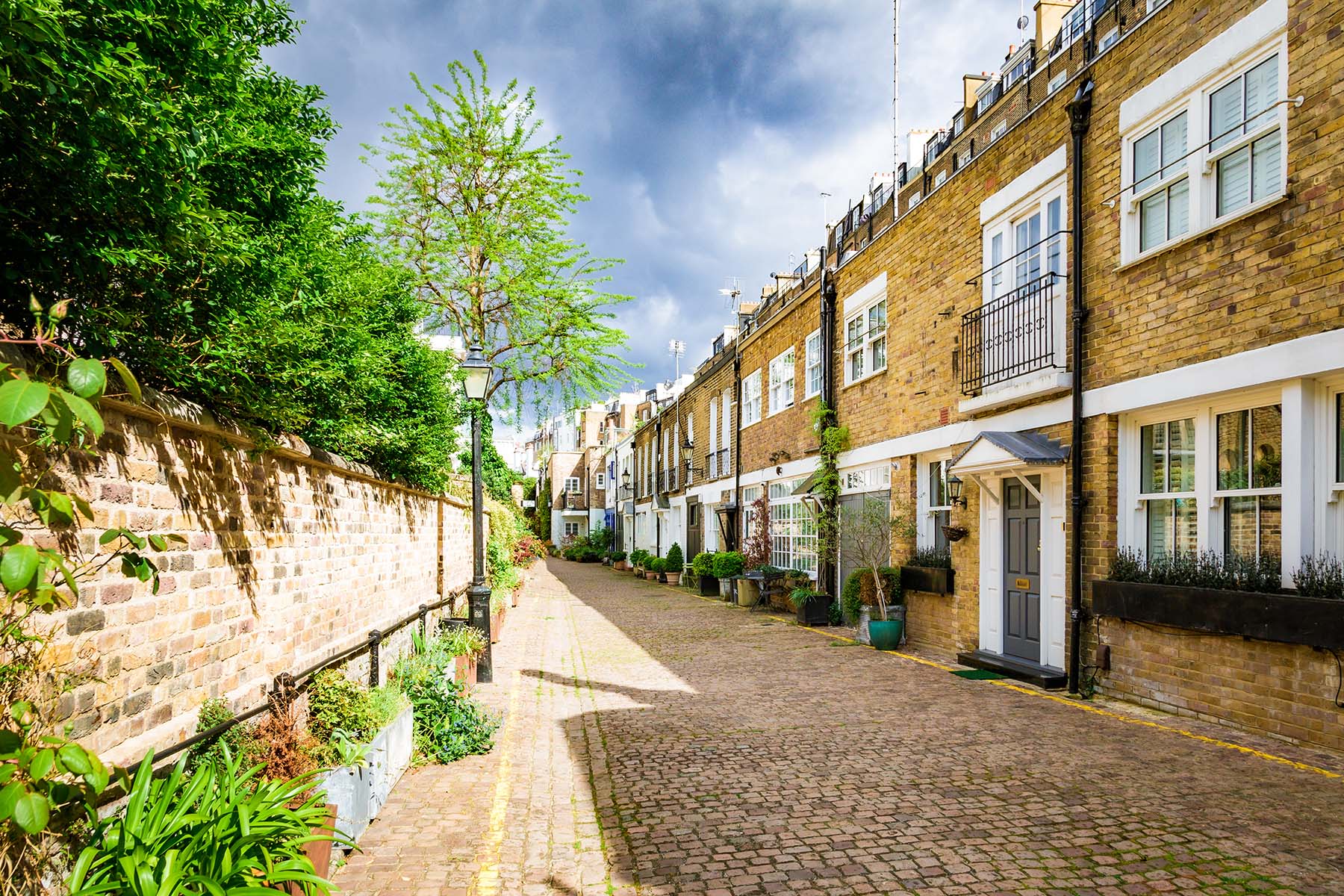 Contact - Cow & Co London